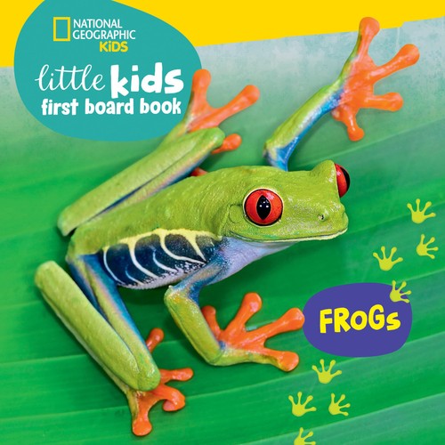 LITTLE KIDS FIRST BB FROGS – Popular Book Company Pte Ltd