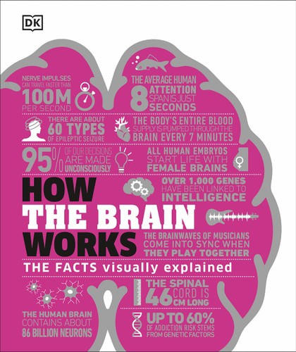 How the Brain Works – Popular Book Company Pte Ltd