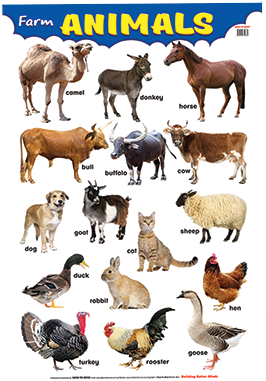 Farm Animals - Educational Wall Poster – Popular Book Company Pte Ltd