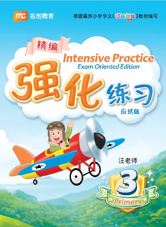 Primary 3 Intensive Practice Exam Oriented Edition – Popular Book ...