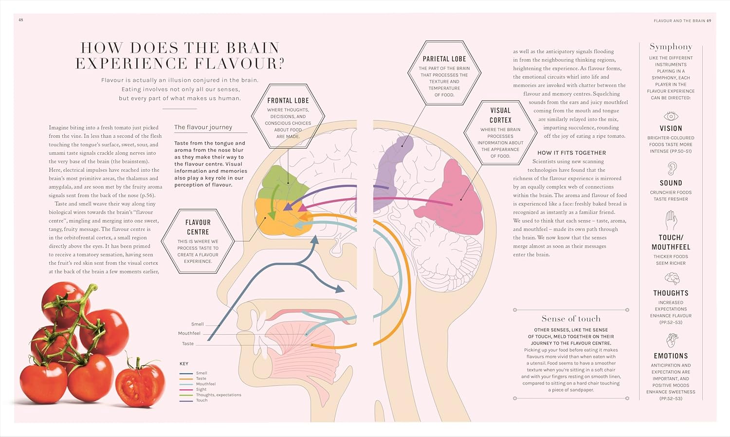 The Science of Flavour: Unlock the Secrets of Flavourful Cooking ...
