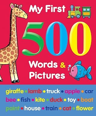 My First 500 Words And Picture ( Padded Book) – Popular Book Company ...